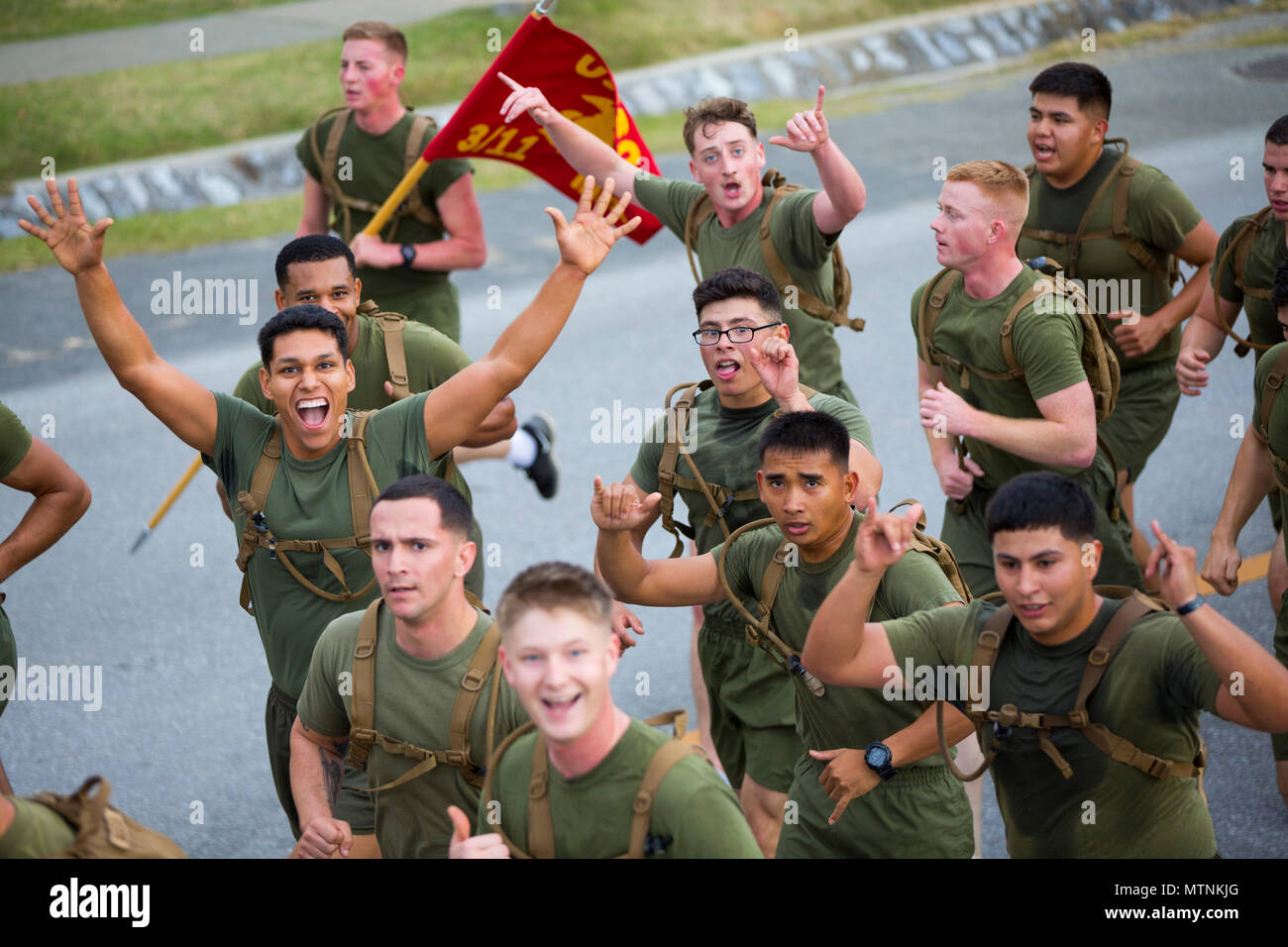 Caltrap hi-res stock photography and images - Alamy