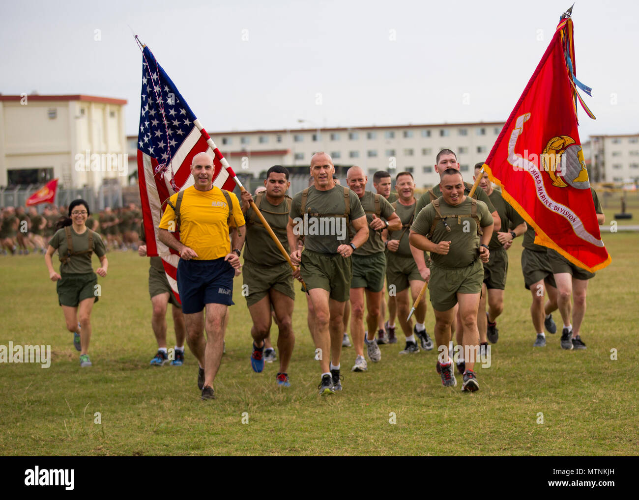 Caltrap hi-res stock photography and images - Alamy