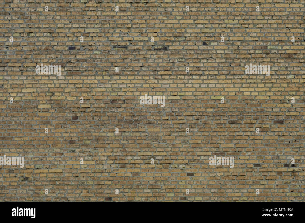 The texture of wall from a variety of old and dirty brick. Detailed ...