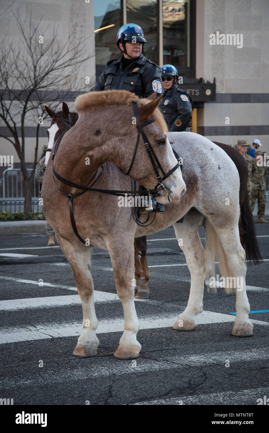 Ceremonial mounted unit hi-res stock photography and images - Alamy