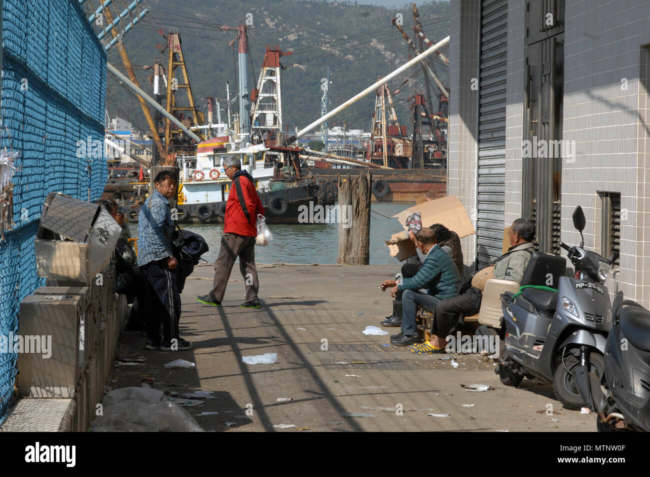 Dock workers, fishing wharf, Macau Stock Photo - Alamy