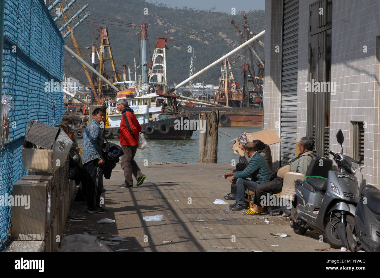 Dock workers, fishing wharf, Macau Stock Photo - Alamy