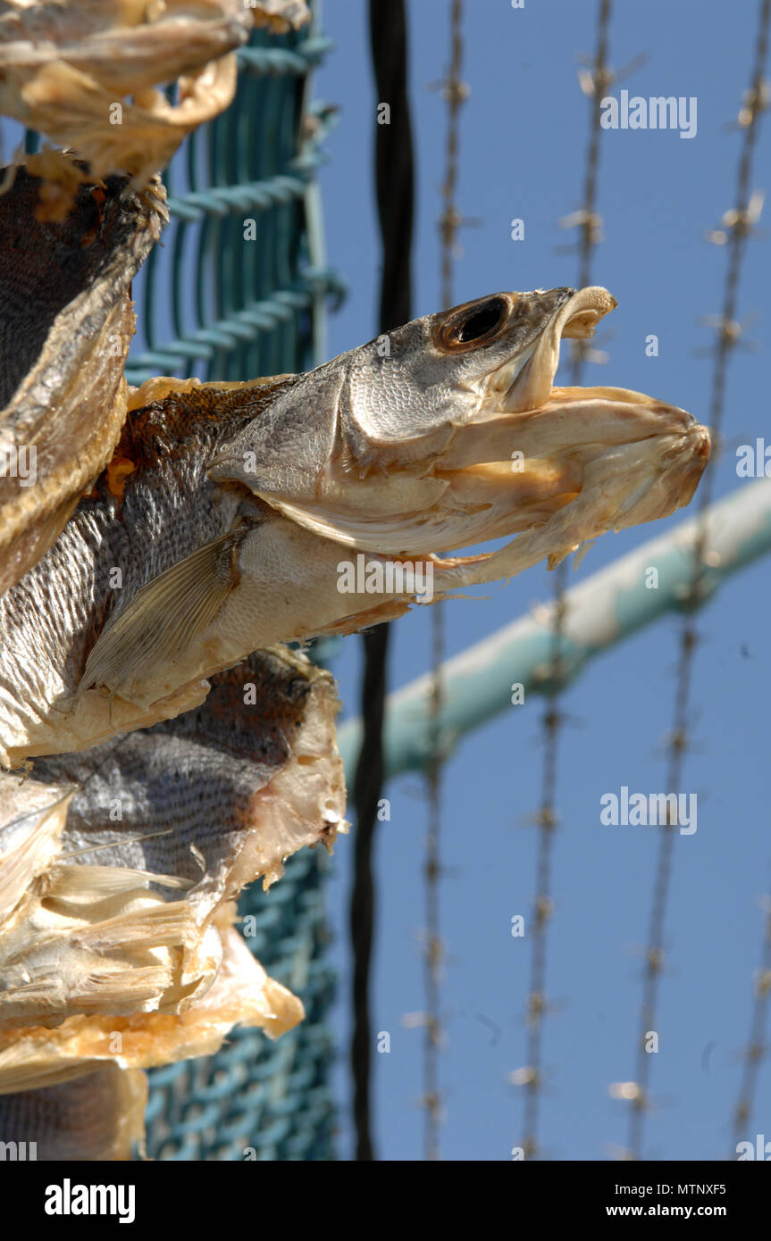Dead chinese fish hi-res stock photography and images - Alamy