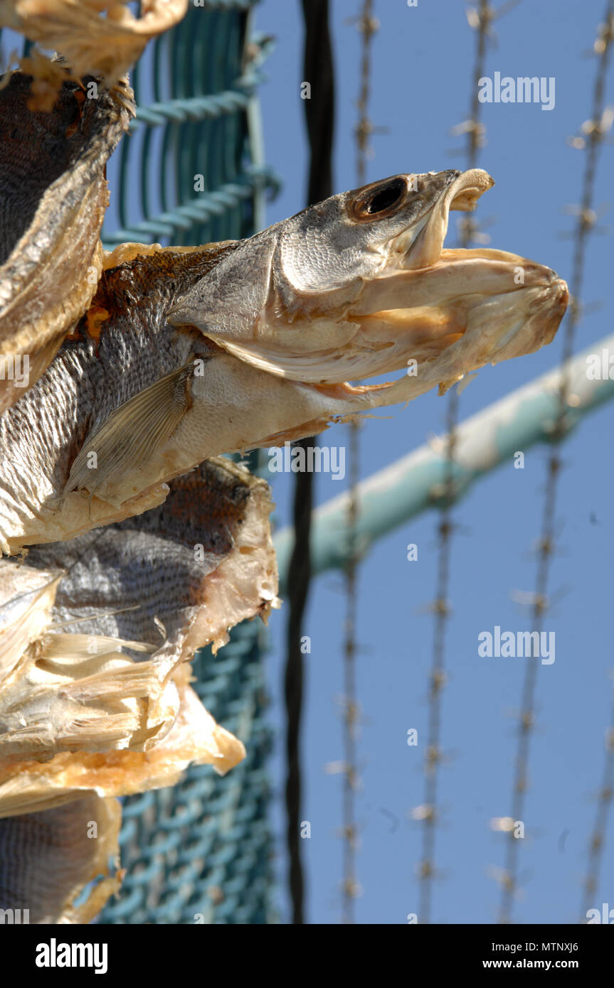 Fillets of fish hanging on fence to dry in sunshine, Macao, China Stock ...