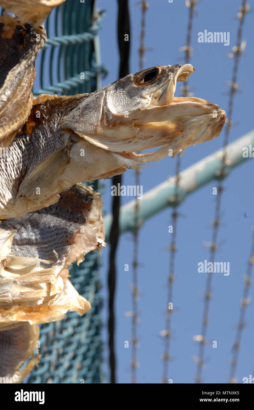 Preparing wire fence hi-res stock photography and images - Alamy