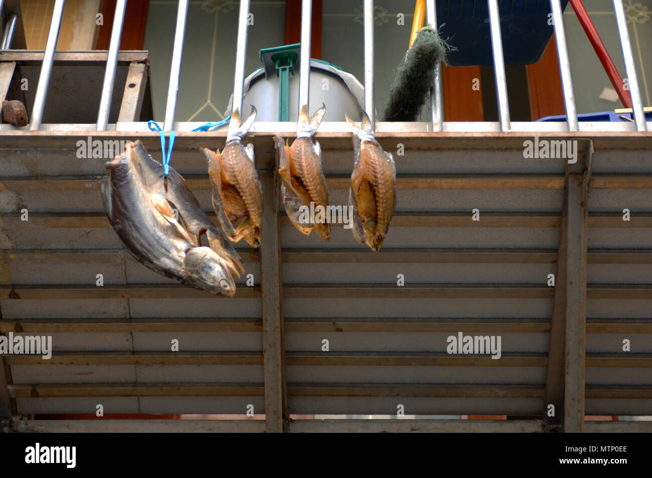 Filets of fish hanging on fence to dry in sunshine, Macao, China Stock ...