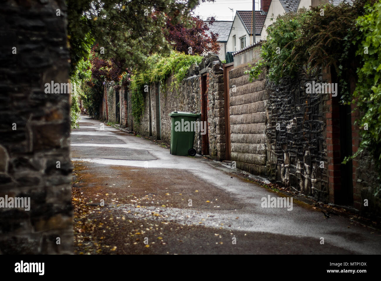 Bin in alley hi-res stock photography and images - Alamy