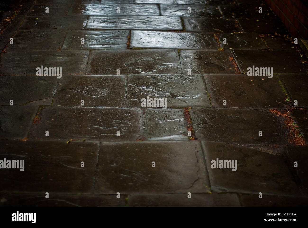 Wet Paving stones Stock Photo - Alamy