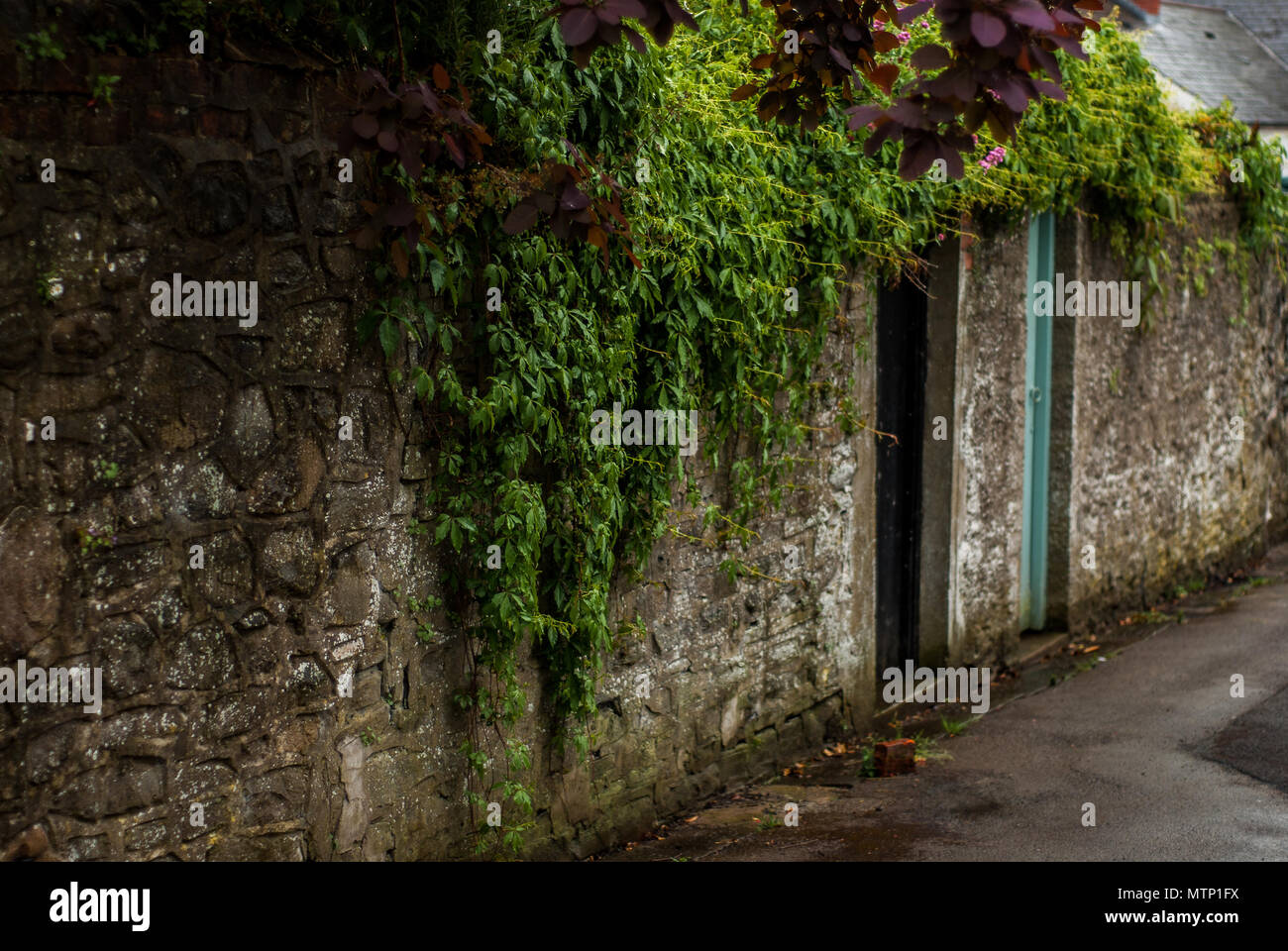 Walls in an alley Stock Photo - Alamy