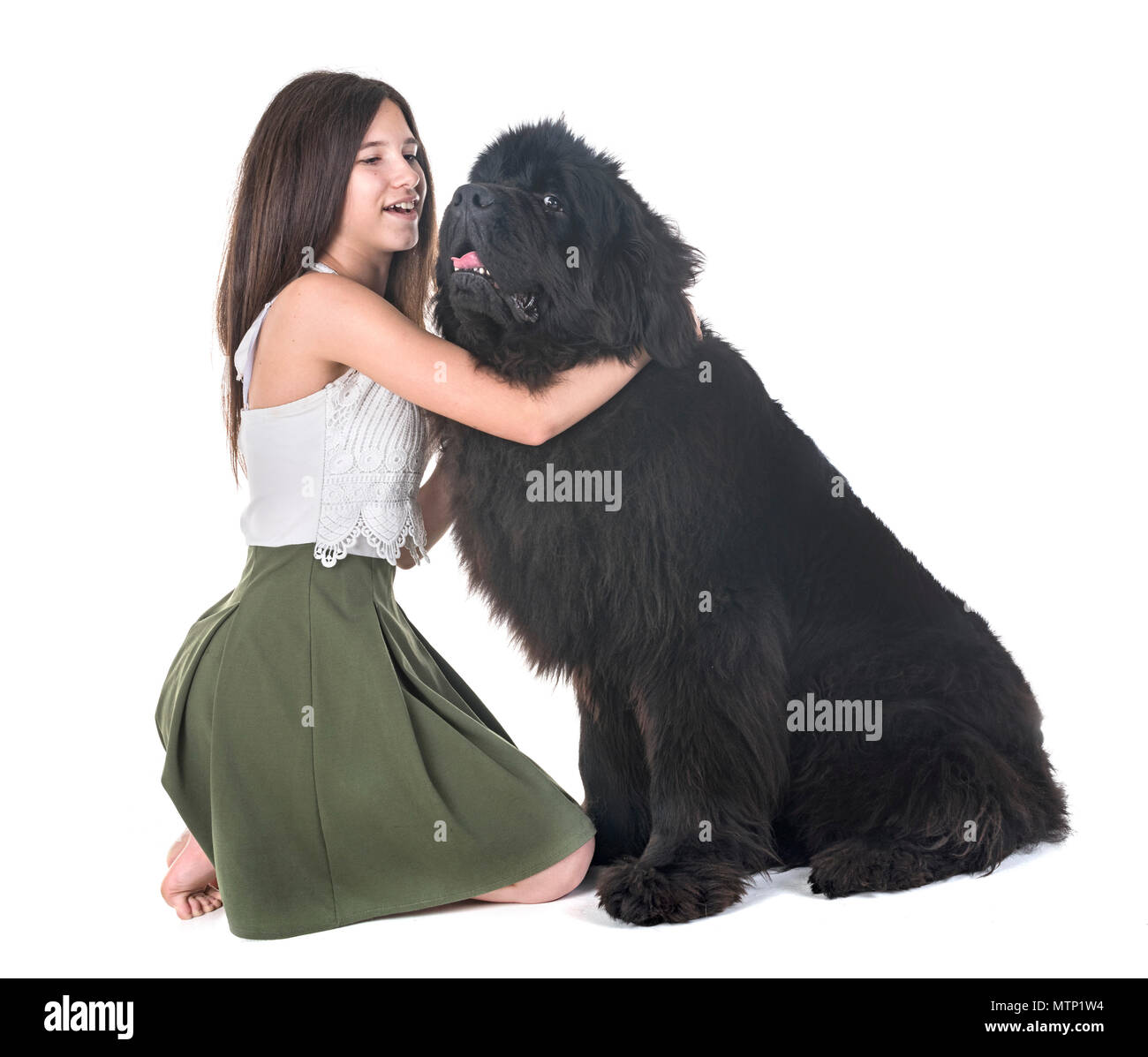 newfoundland dog and woman in front of white background Stock Photo - Alamy