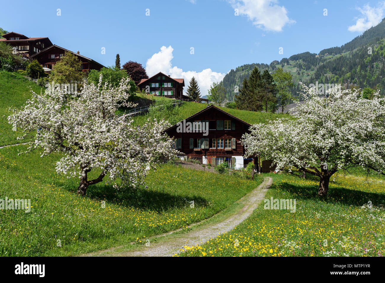 Traditional swiss house hi-res stock photography and images - Alamy