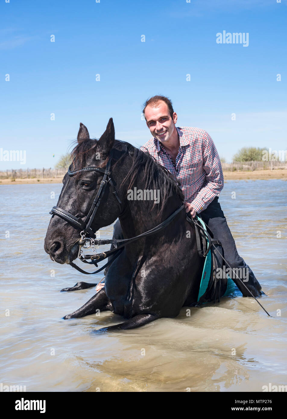 riding man and his stallion on the beach Stock Photo - Alamy