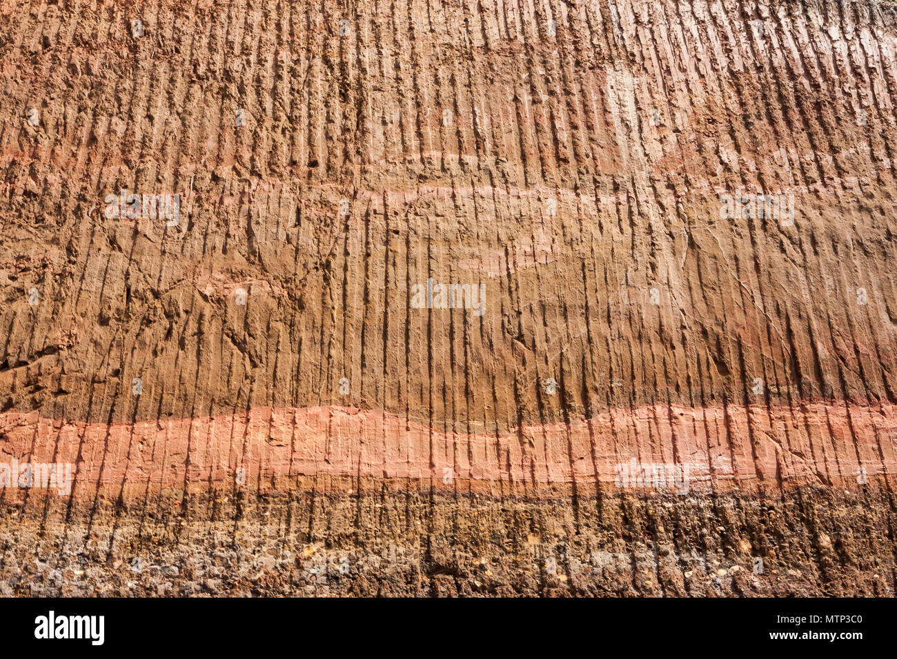 Destruction rainforest deforestation borneo hi-res stock photography ...