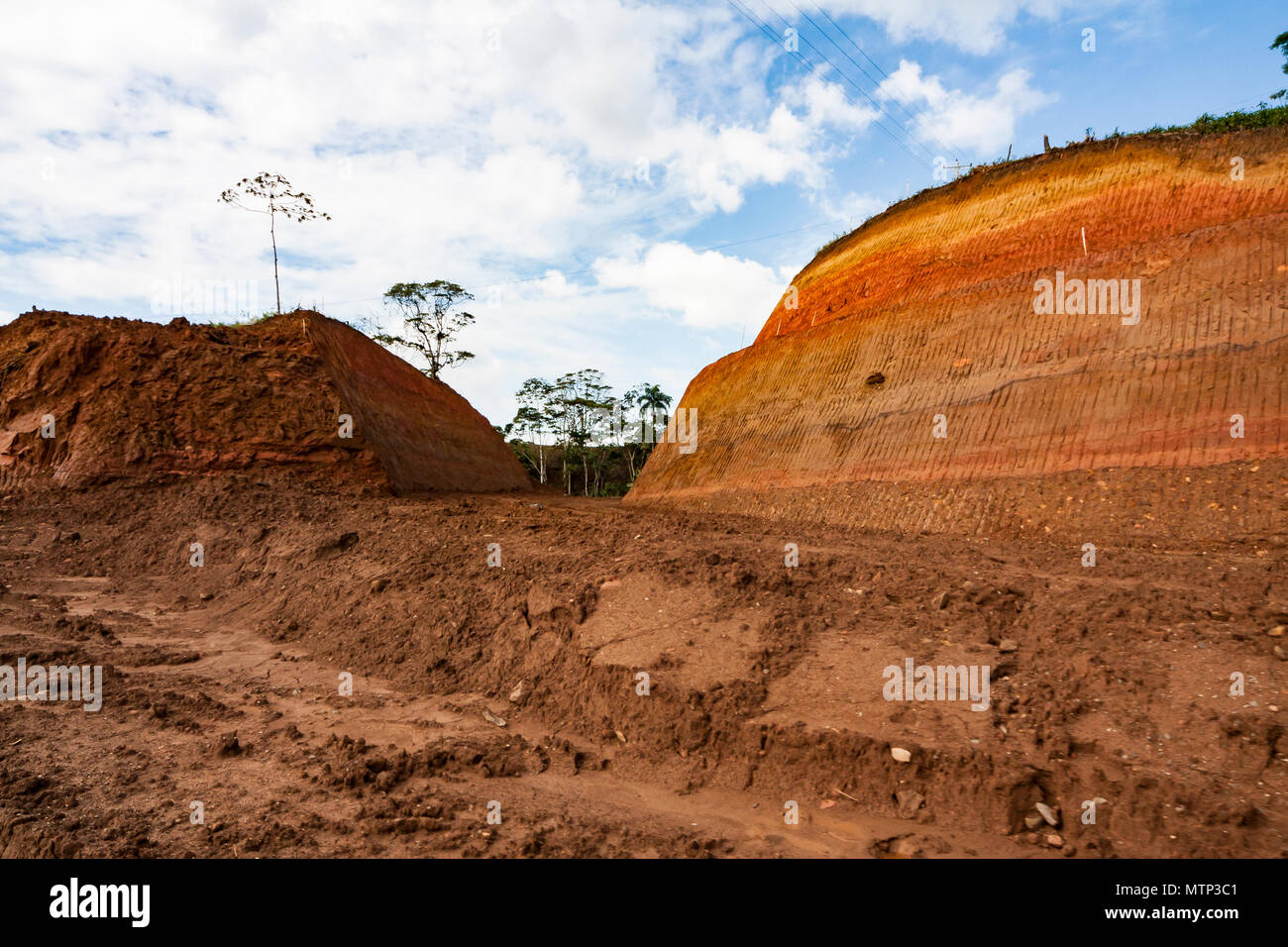 amazon forest destruction, in Ecuador Stock Photo - Alamy