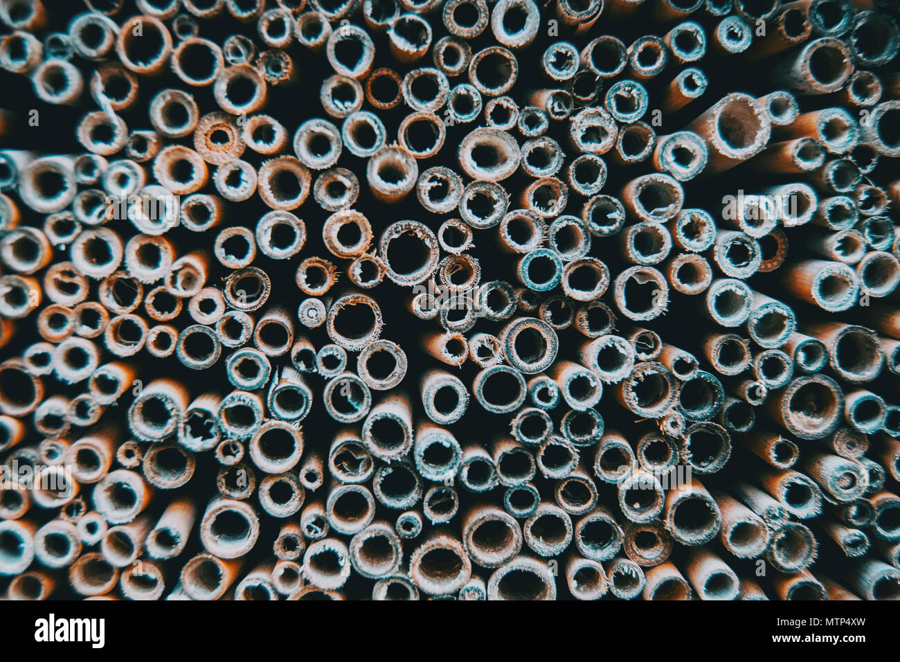abstract texture with many small dark holes Stock Photo - Alamy