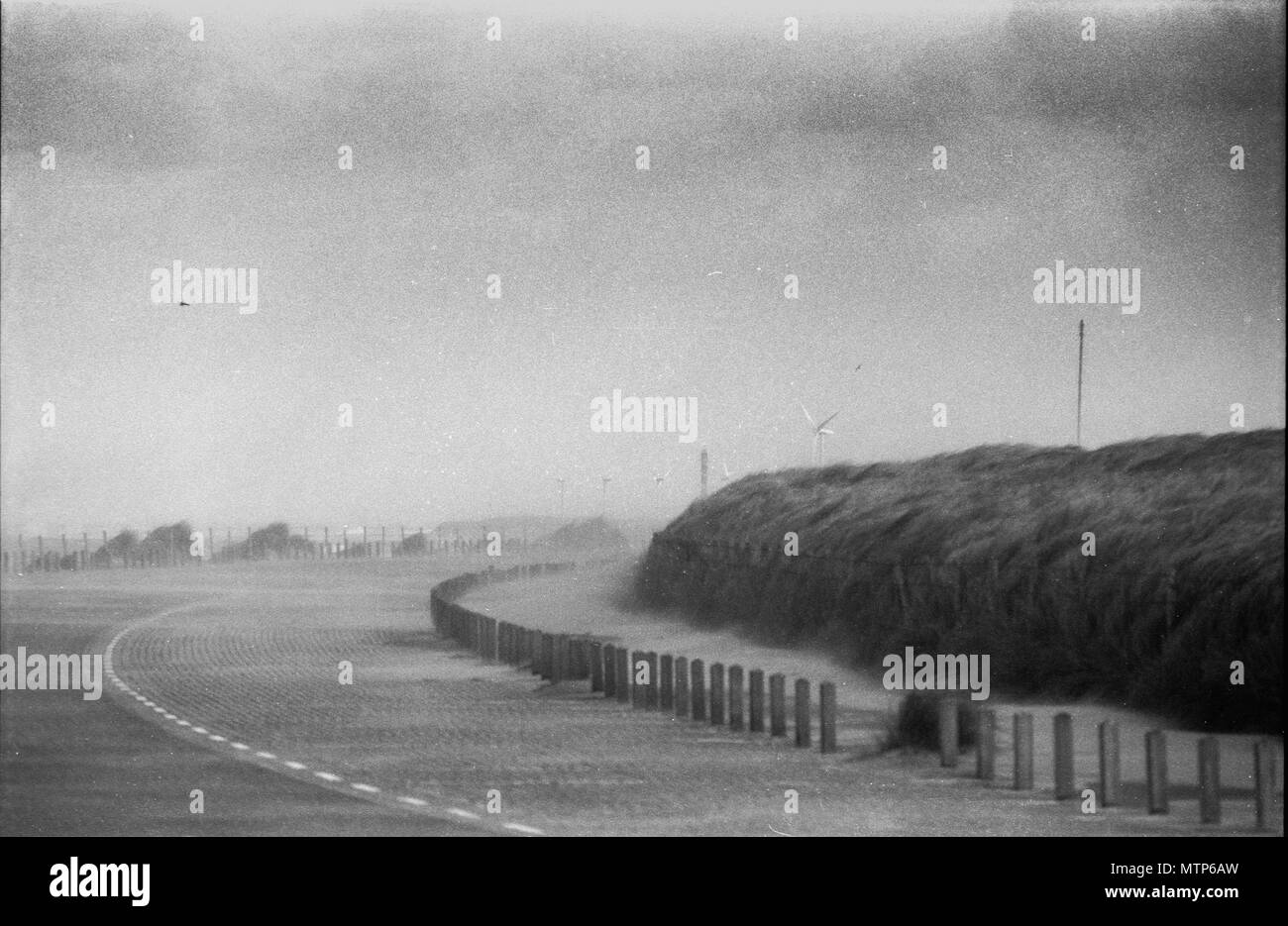 Dutch coast in october. Analog picture of a very stormy day.l Stock ...