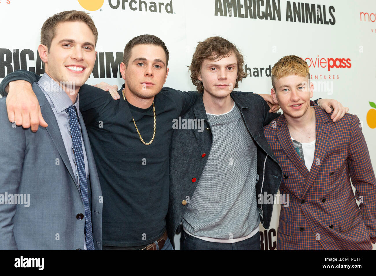 American animals film barry keoghan hi-res stock photography and images ...