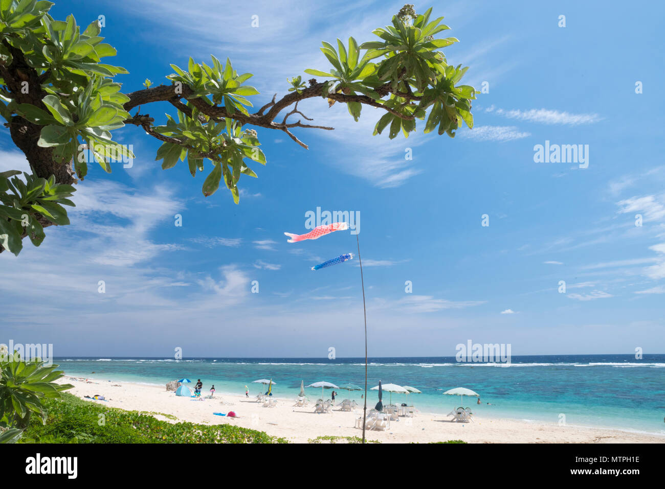 White beach okinawa hi-res stock photography and images - Alamy