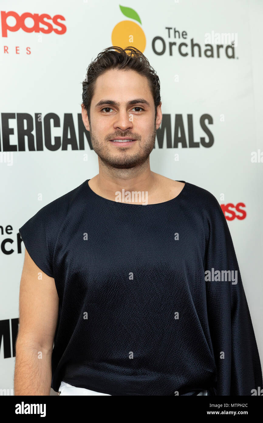 American Animals Premiere High Resolution Stock Photography and Images ...