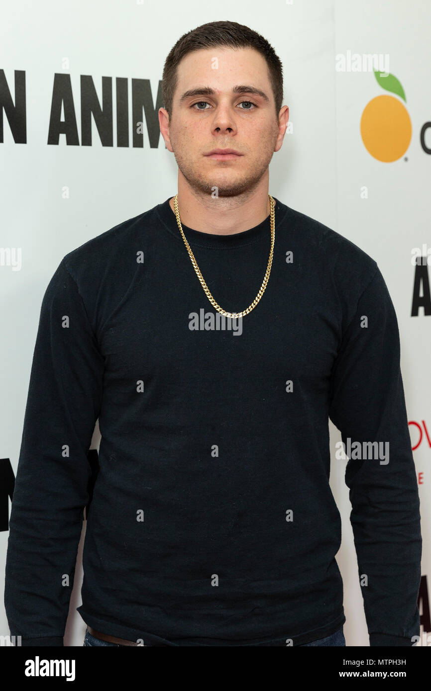 Jared abrahamson hi-res stock photography and images - Alamy