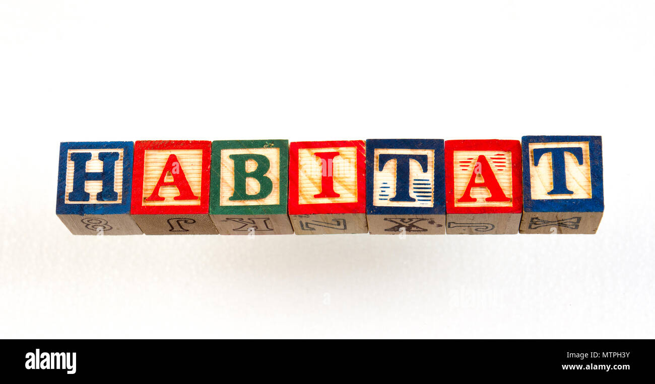 The term habitat displayed visually on a white background using ...