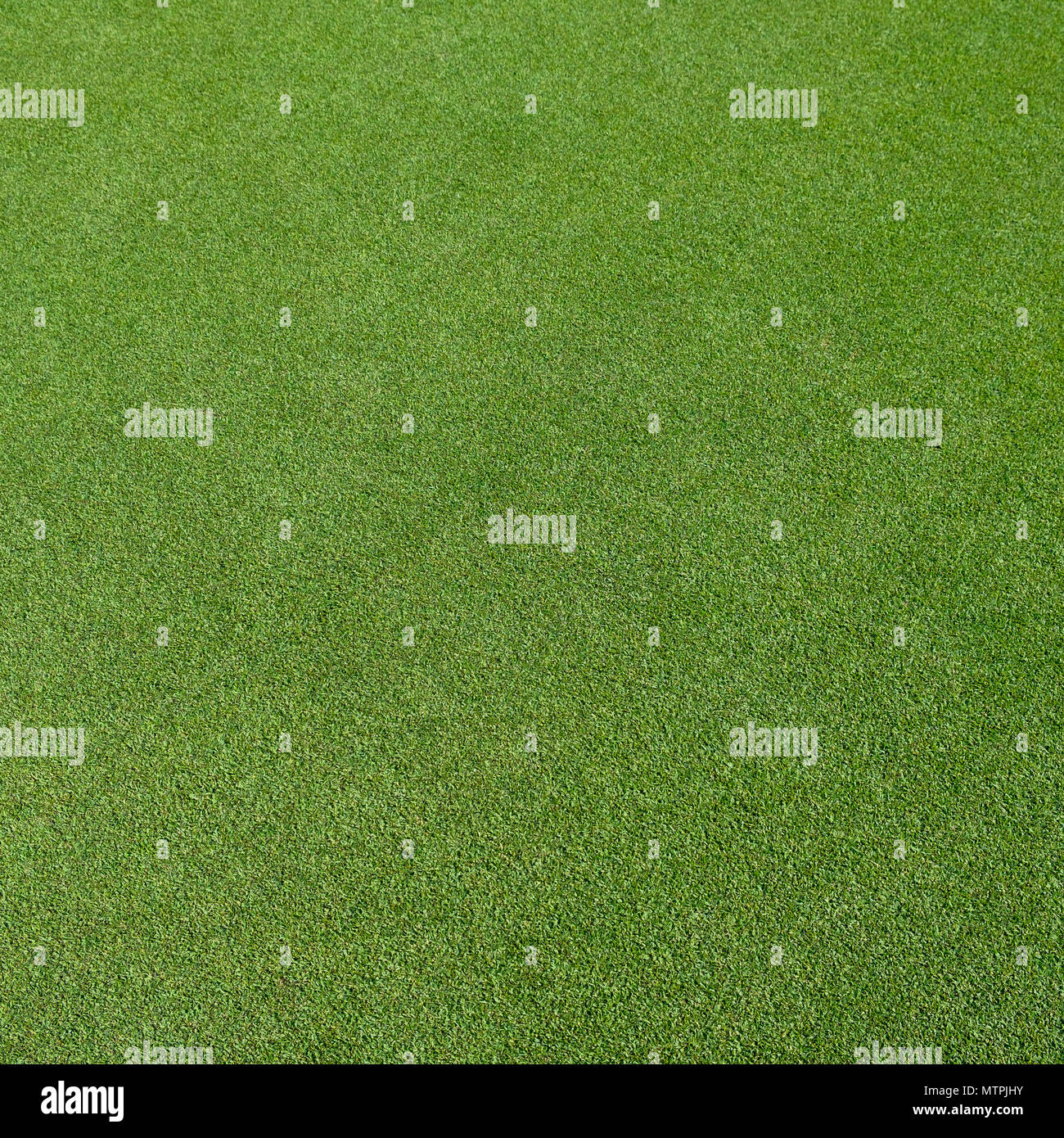 Golf turf hi-res stock photography and images - Alamy