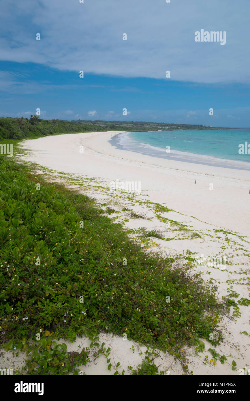 Irabu island hi-res stock photography and images - Alamy