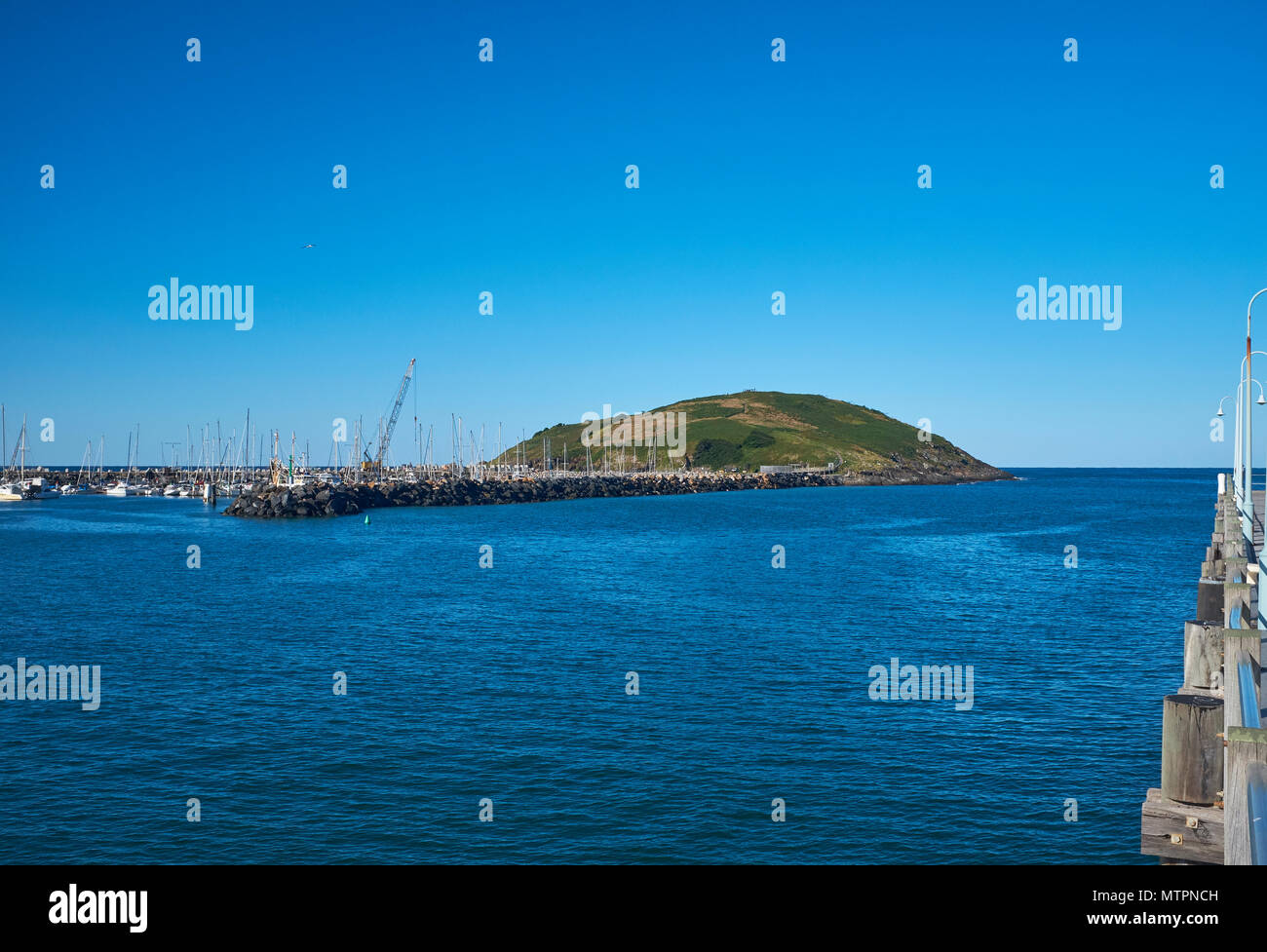 Muttonbird island nature reserve australia hi-res stock photography and ...