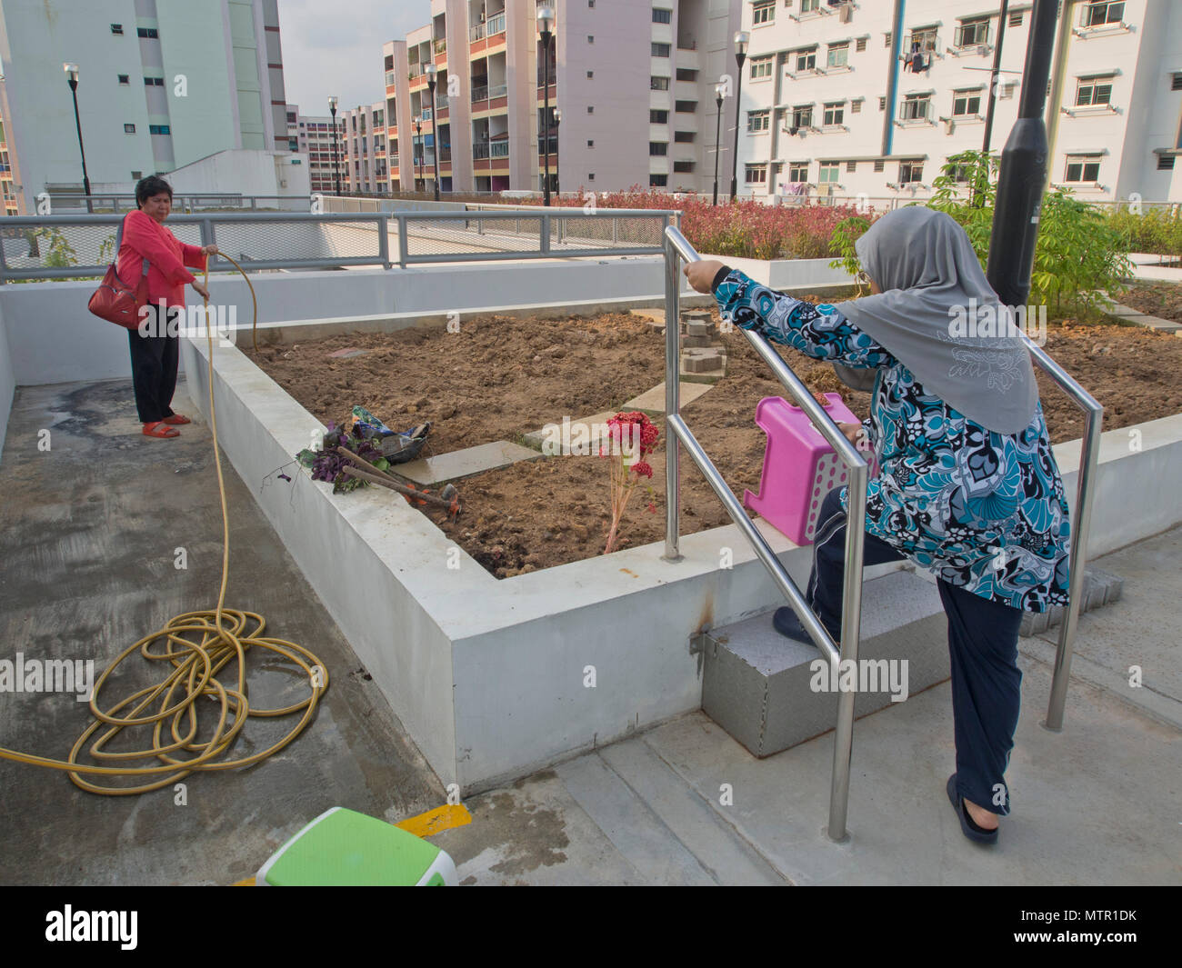 Local residents working as volunteers in a roof garden on top of a car ...