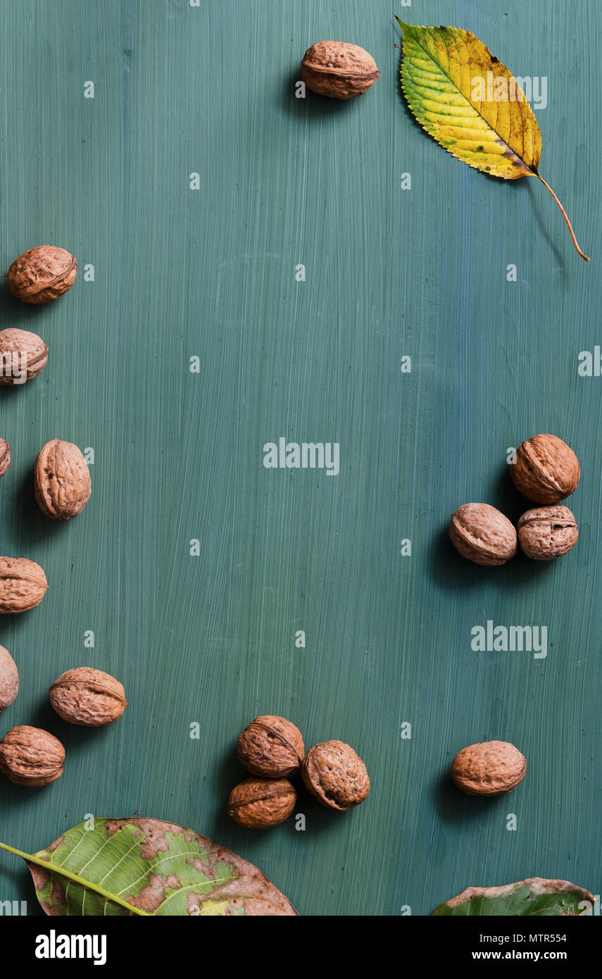 Fresh walnuts background with copy space (negative space). Dark and ...