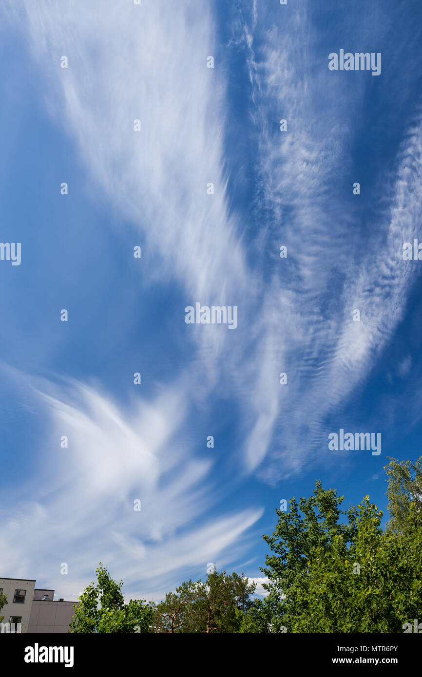 Wispy cirrus clouds blue sky Stock Photo - Alamy
