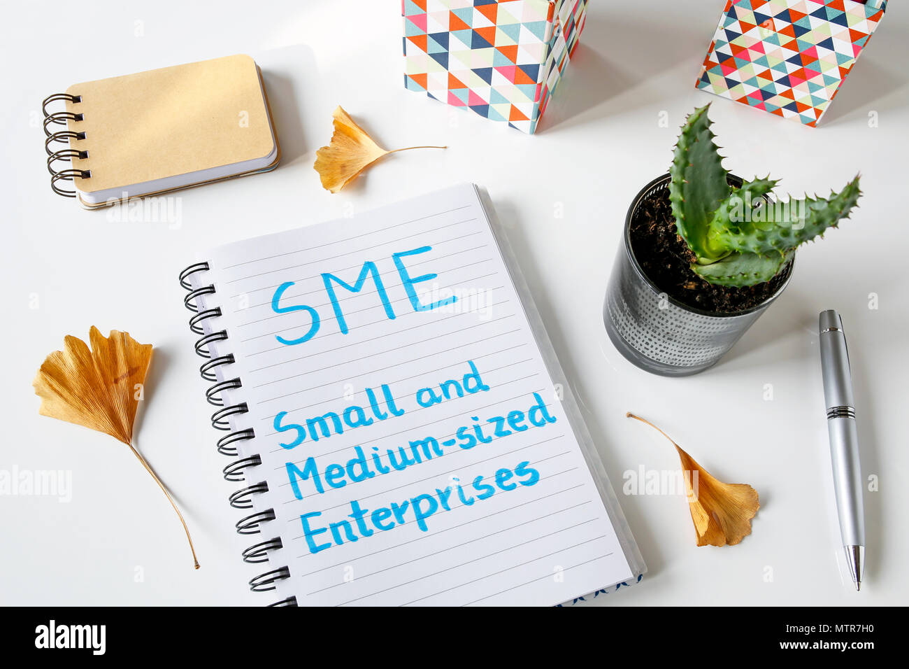 Small And Medium-sized Enterprises written in a notebook on white table ...