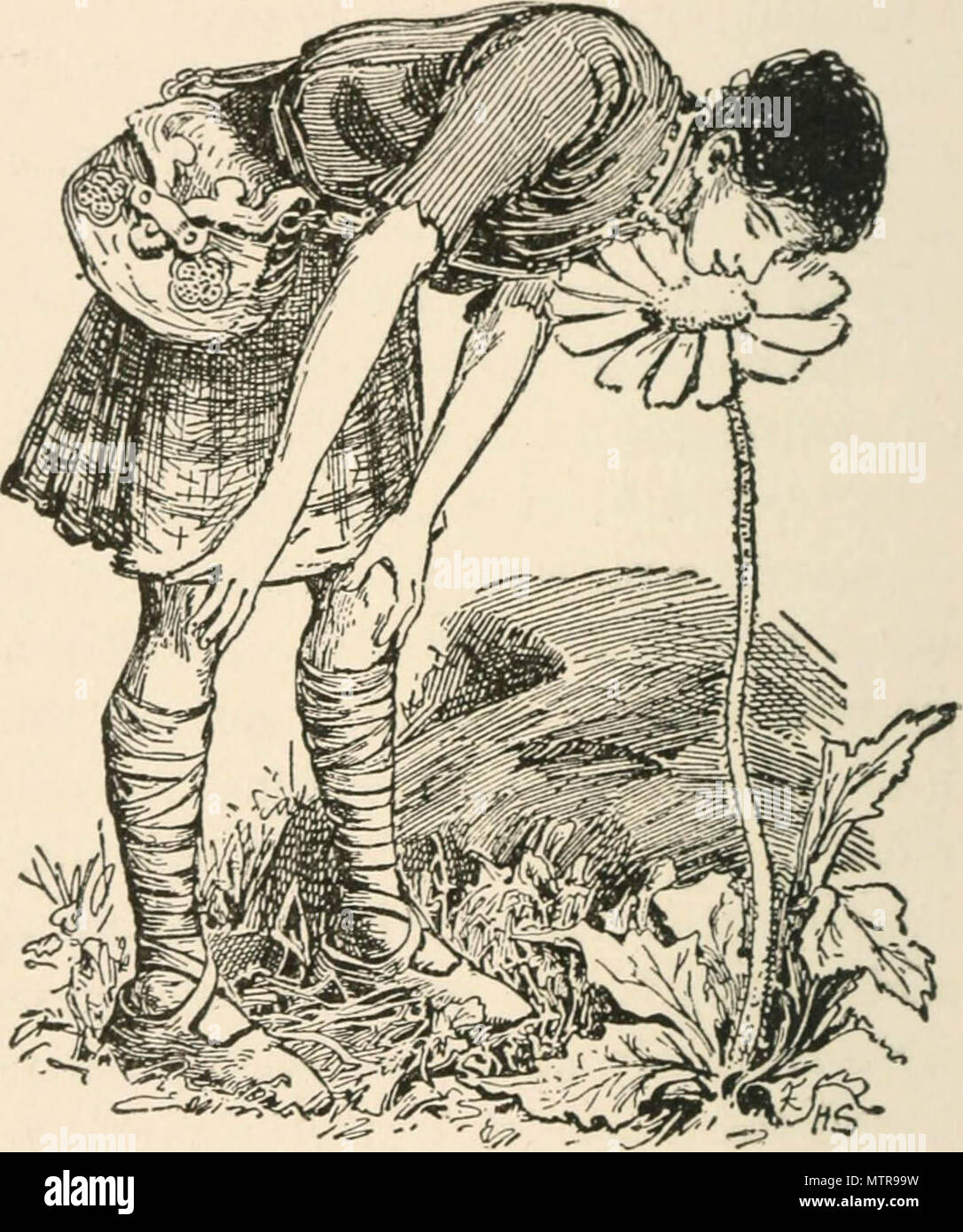 Scottish folk tales hi-res stock photography and images - Alamy