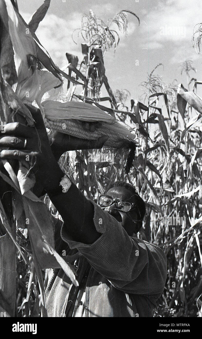 United states army air crops hi-res stock photography and images - Alamy