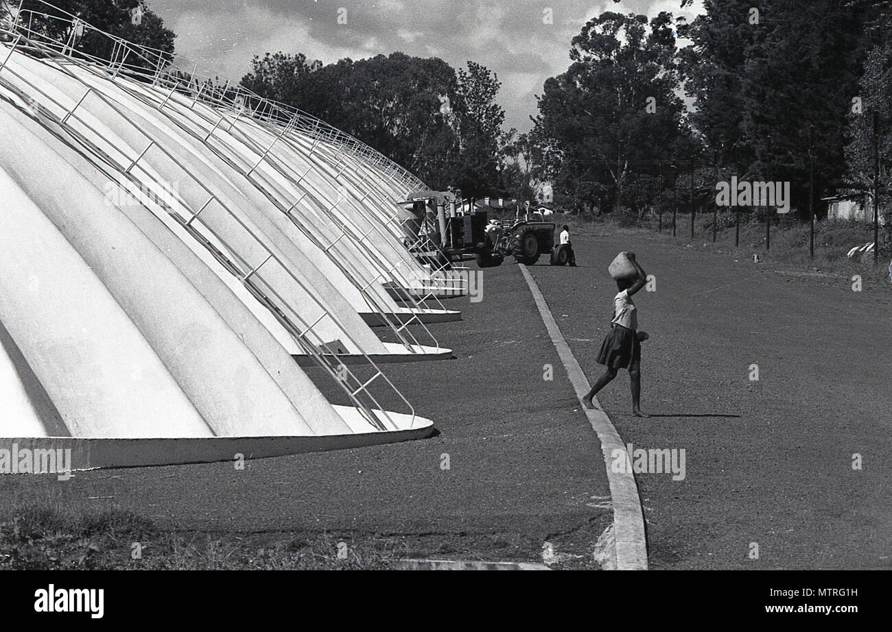 photo of blimp Stock Photo - Alamy