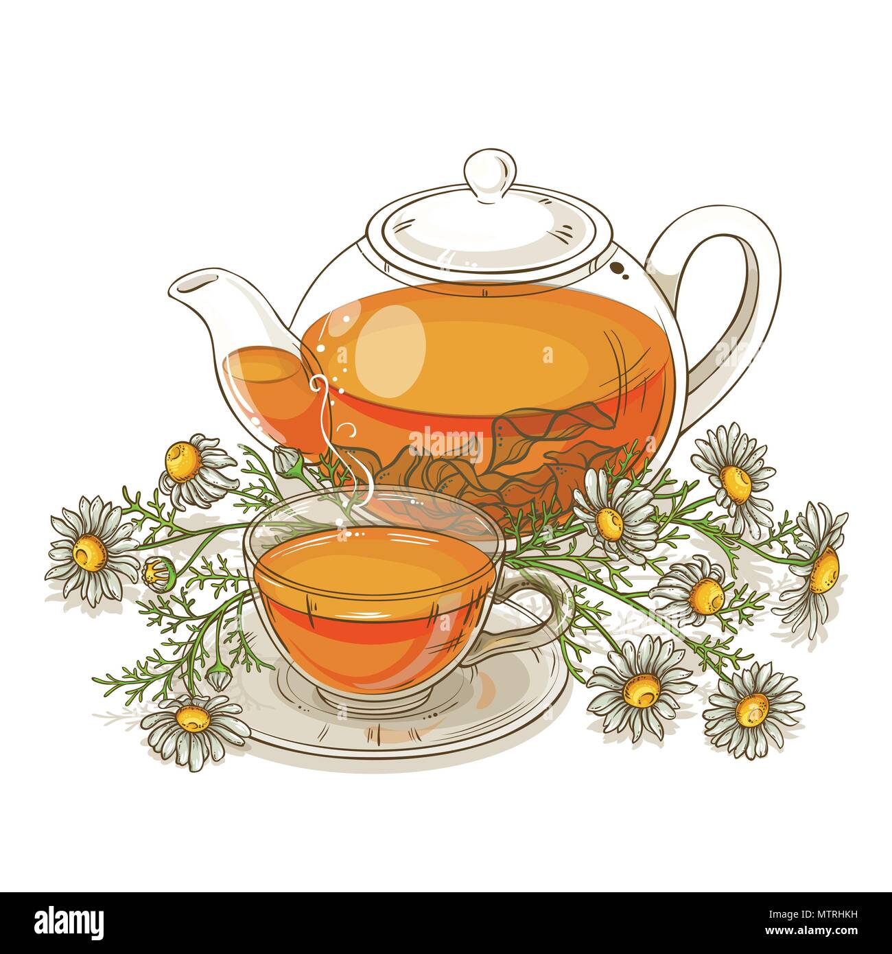 Chamomile tea isolated Stock Vector Images - Alamy