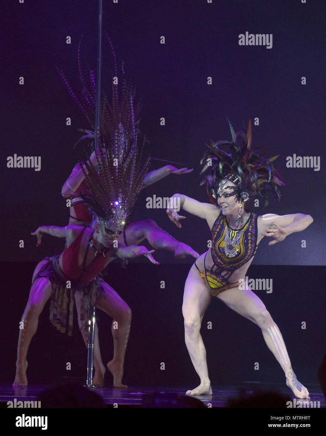 Jenyne butterfly hi-res stock photography and images - Alamy