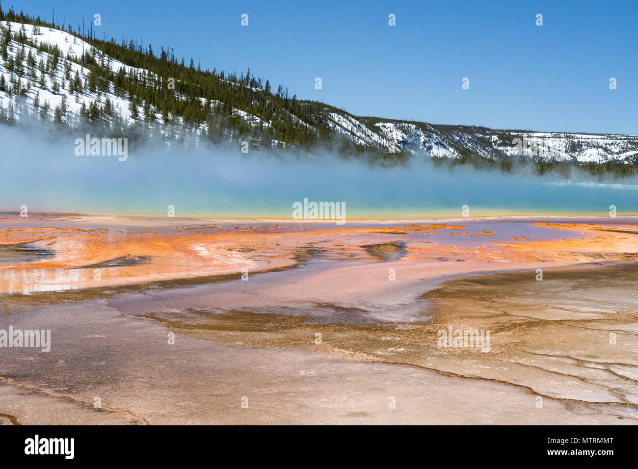 Grand Prismatic Hot Spring in Yellowstone National Park Stock Photo - Alamy