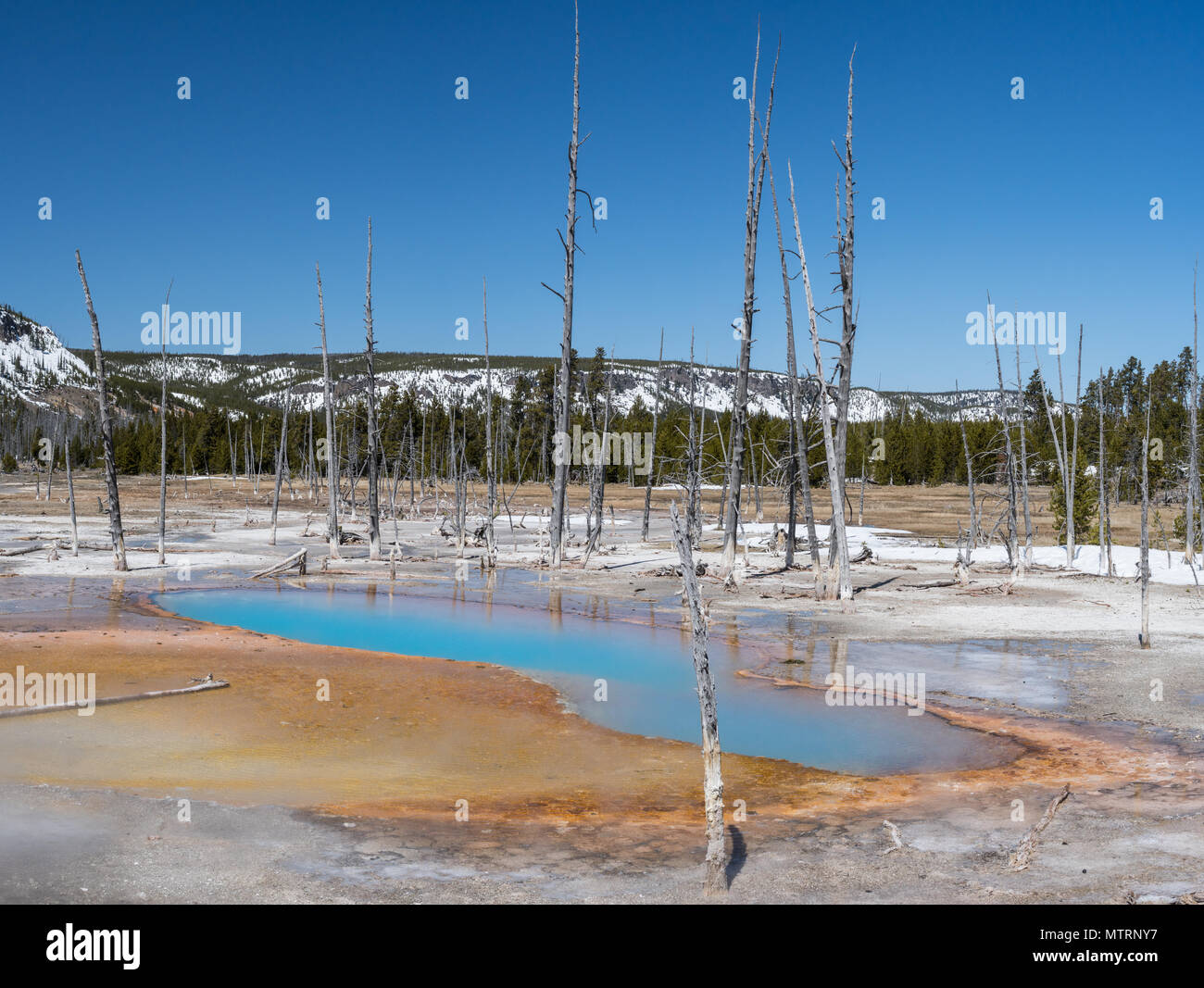 Bacterial pool hi-res stock photography and images - Alamy