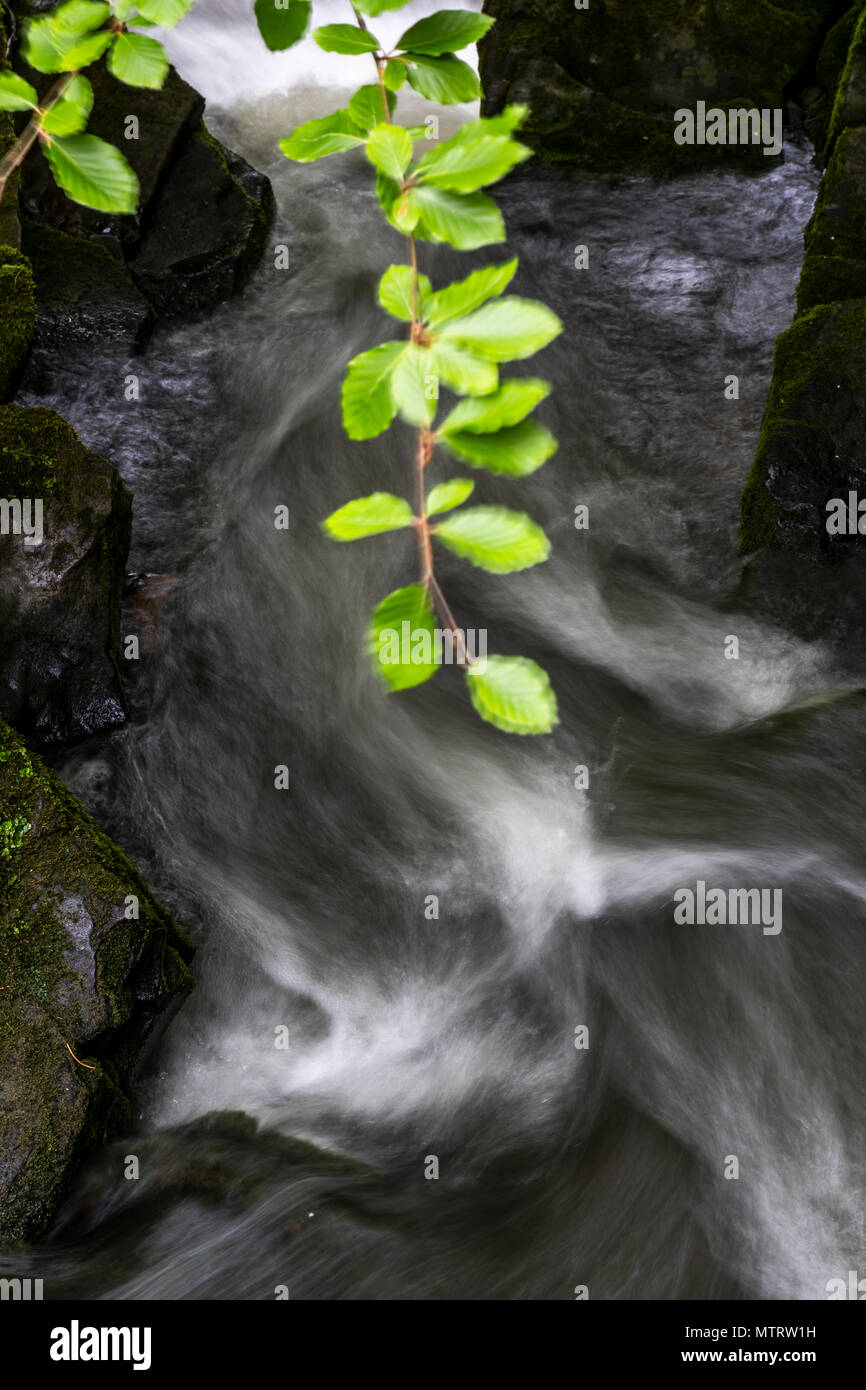 The Mill race feeds the working water wheel. Fire and Wood at Dean ...