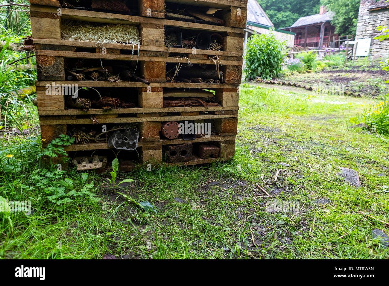 Bug hotel made from pallets. Fire and Wood at Dean Heritage Centre ...