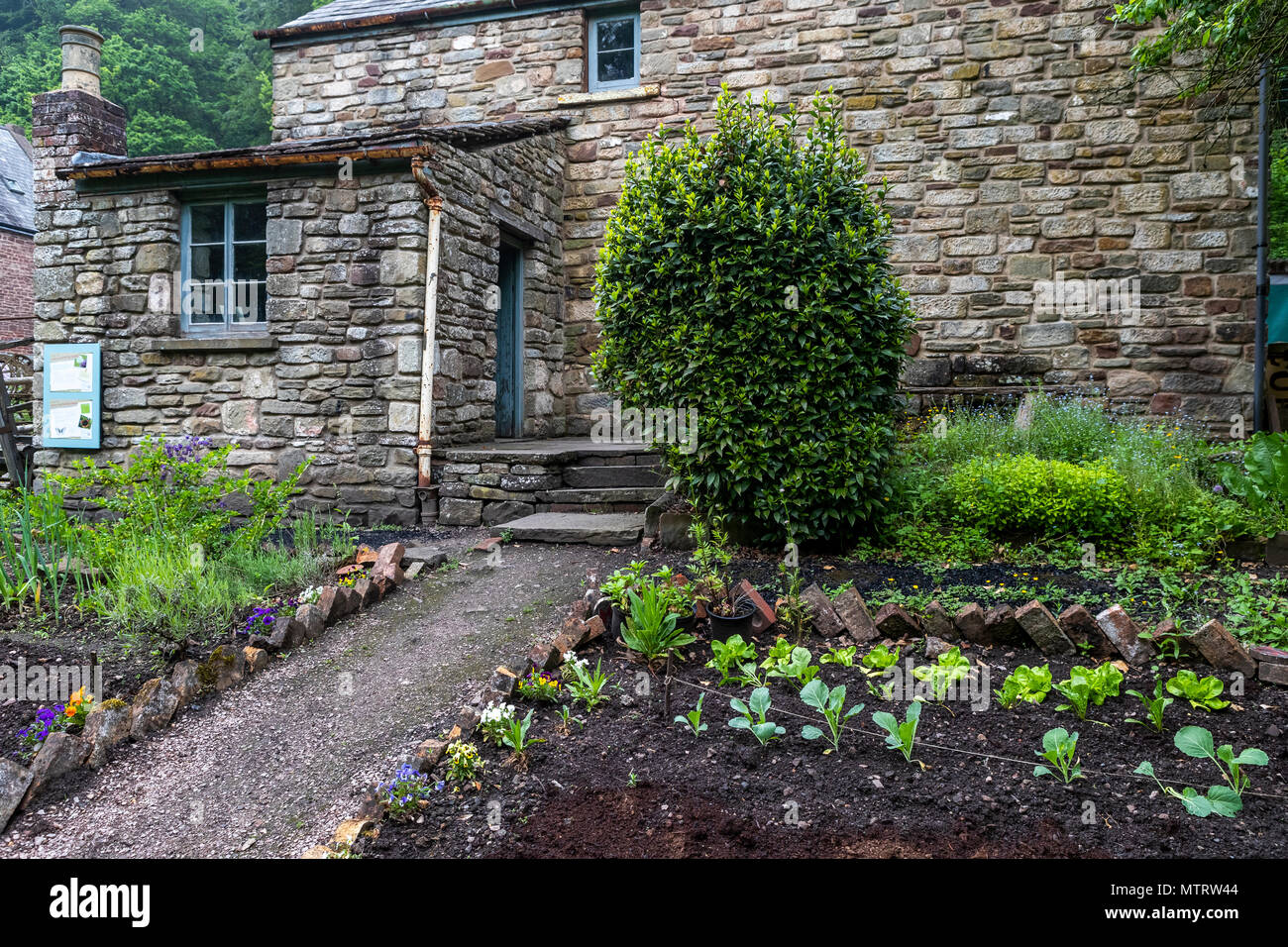 Traditional Victorian Forest of Dean cottage. Fire and Wood at Dean ...