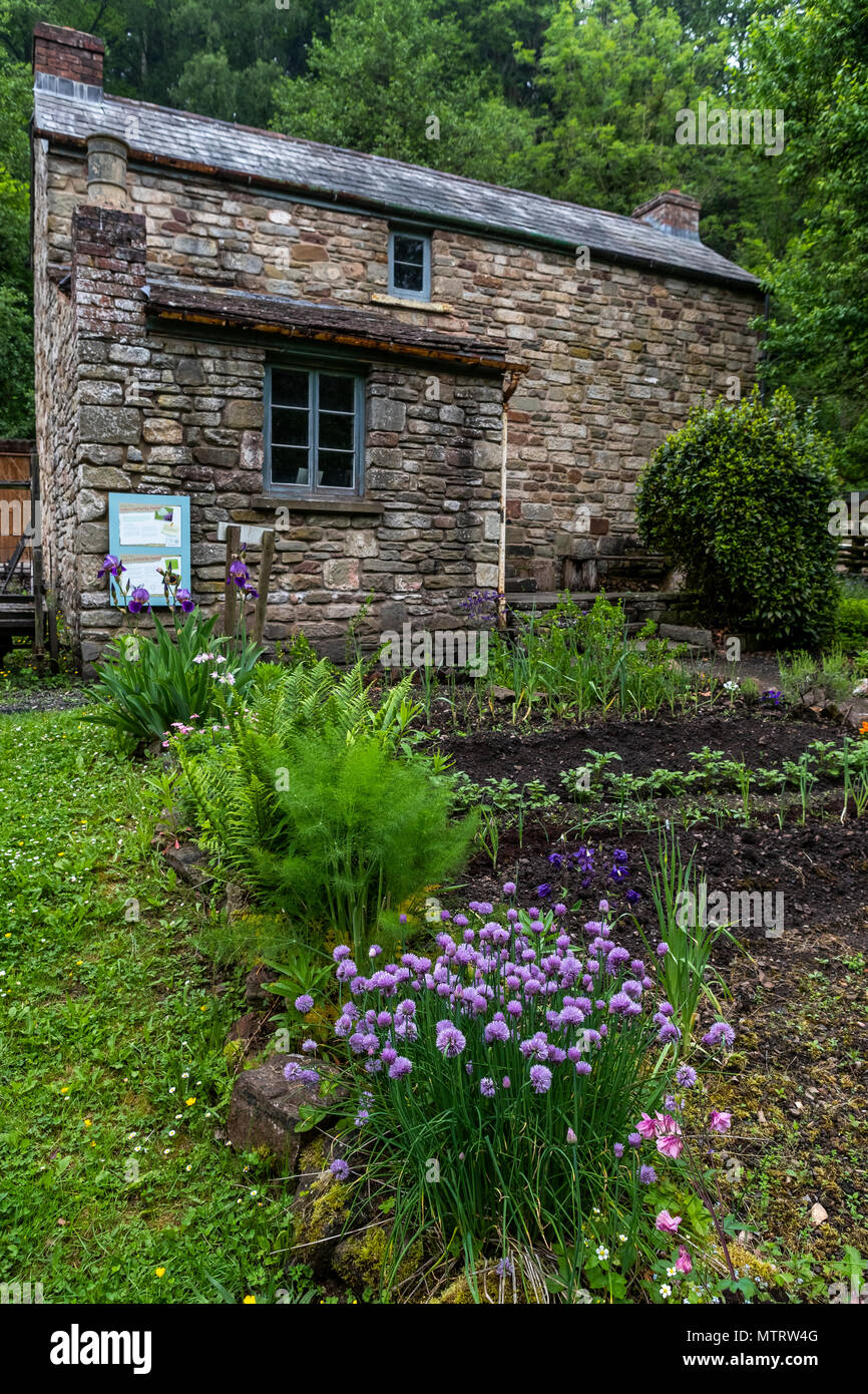 Traditional Victorian Forest of Dean cottage. Fire and Wood at Dean ...