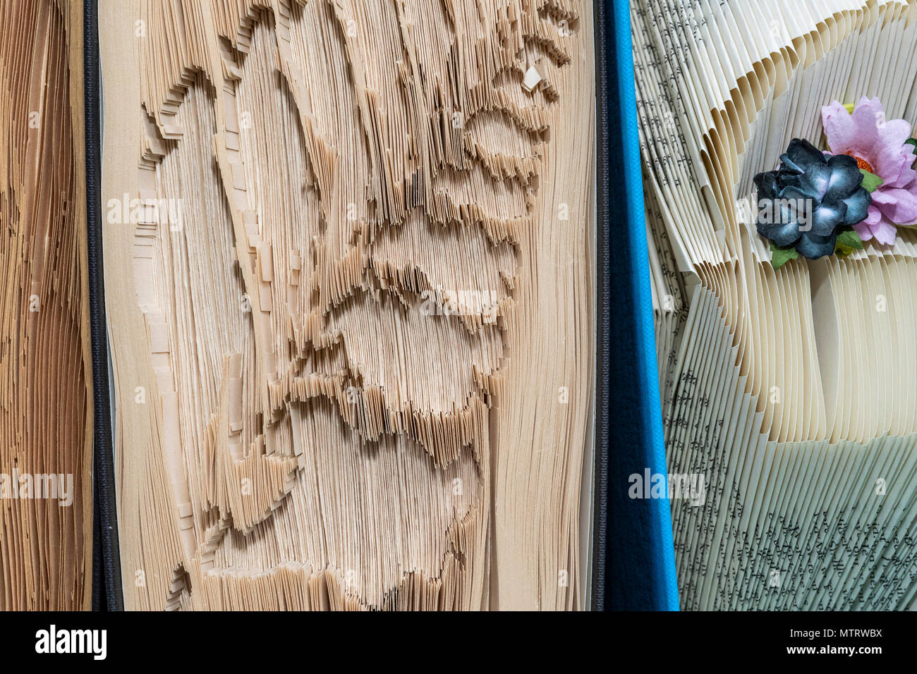 Book carving display. Fire and Wood at Dean Heritage Centre Stock Photo ...