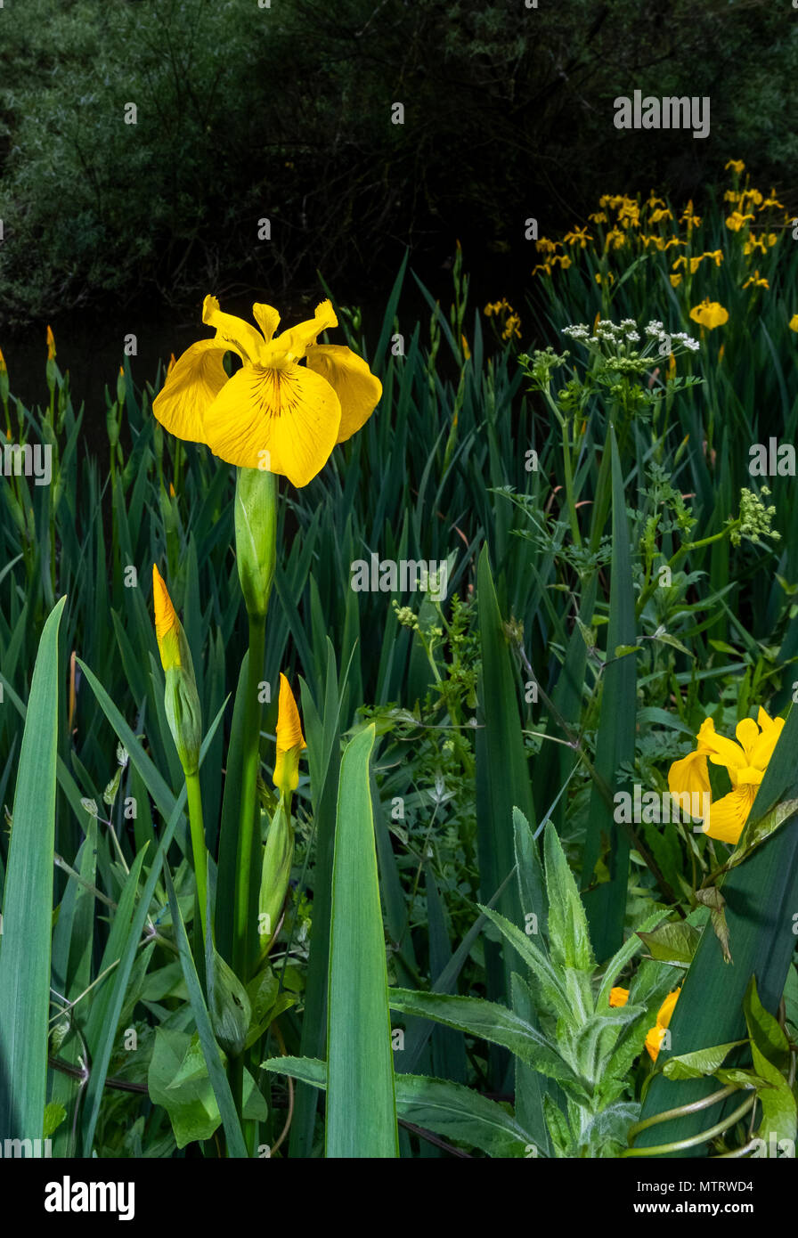 Dean heritage centre hi-res stock photography and images - Alamy