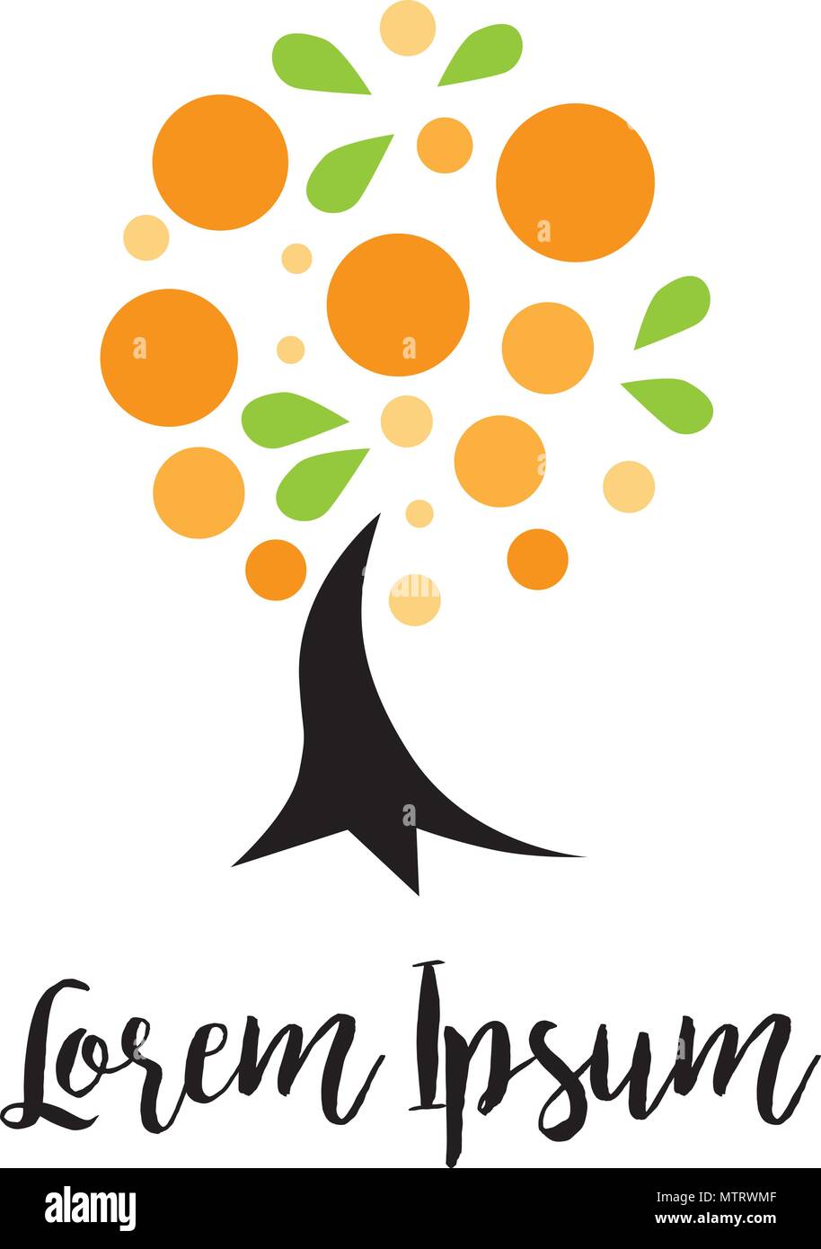 White orange fruit tree flower Stock Vector Images - Alamy