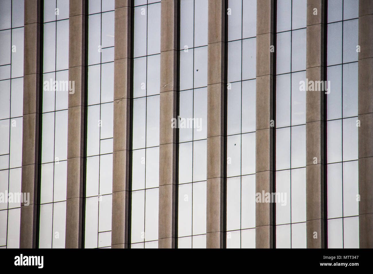 Detail of modern architecture glass windows with concrete columns of a ...