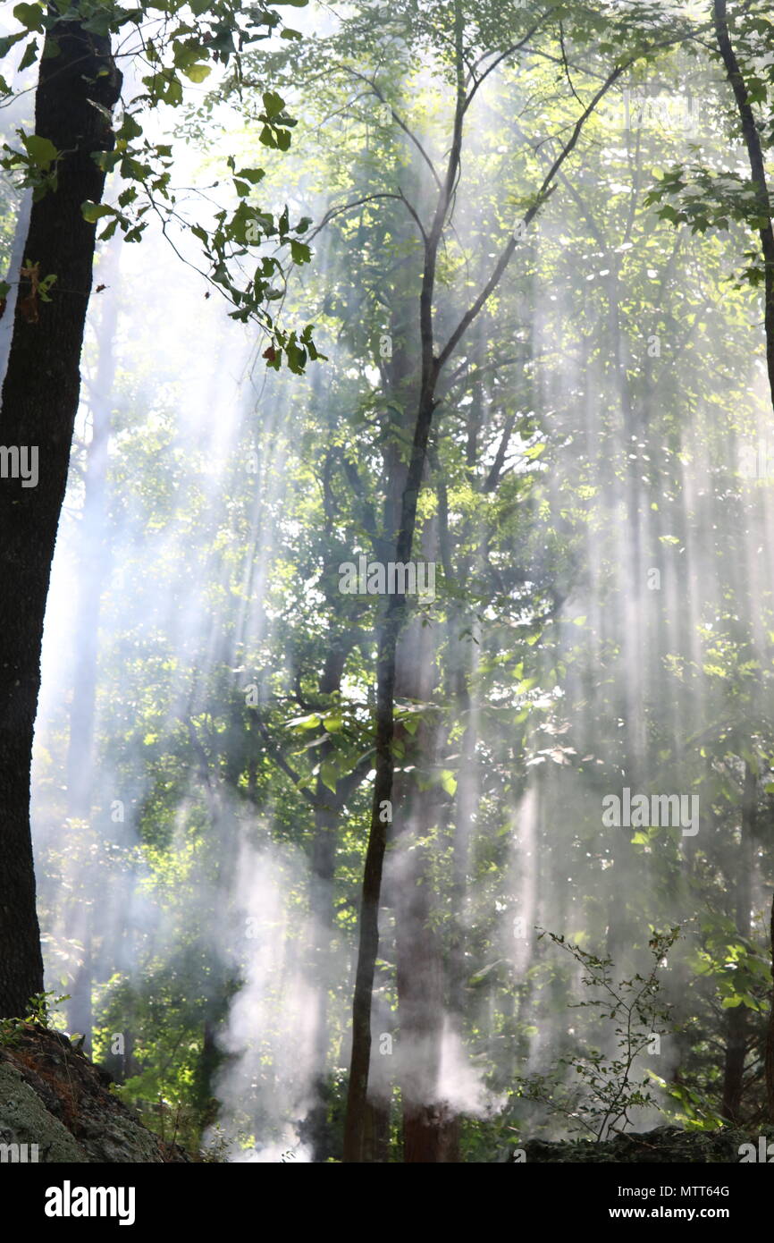 Hit Smoke High Resolution Stock Photography and Images - Alamy