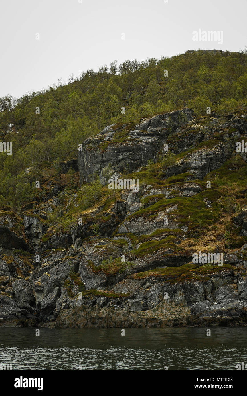 Norwegian Coastal Ranger Commandos (KJK) conduct reconnaissance and ...