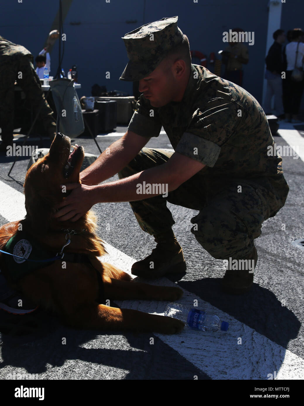 Service dogs in training with Seeing Eye Puppy Raising Program spent ...